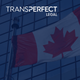 Reef Review | TransPerfect Legal